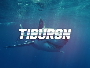 Tiburon / Logo design